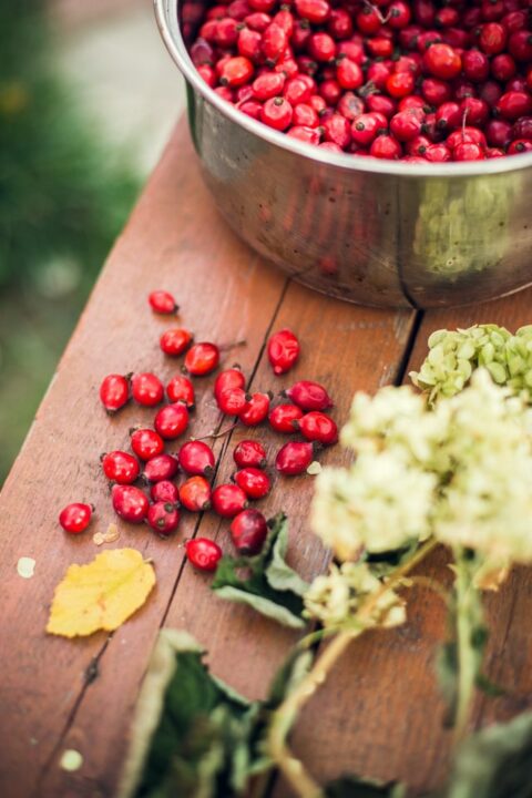 Baie de goji : bienfaits santé • GoodSesame