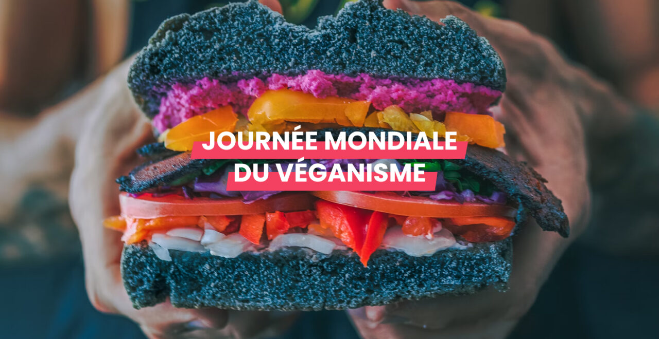 journée mondiale du véganisme • GoodSesame