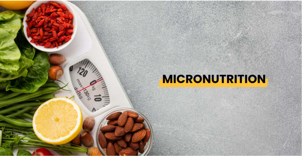 L’impact de la micronutrition dans notre alimentation quotidienne et la ...